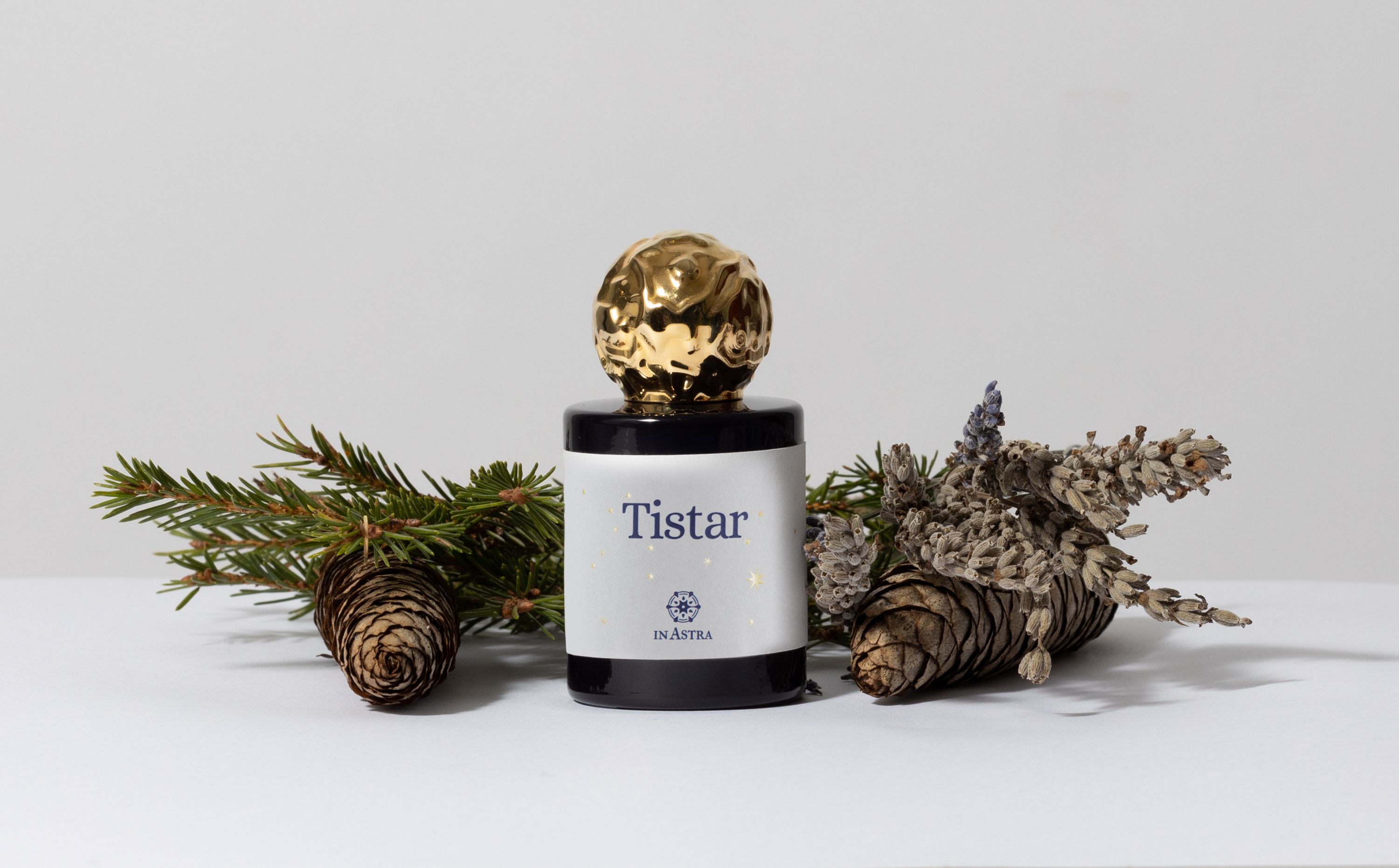 Tistar In Astra perfume - a new fragrance for women and men 2022