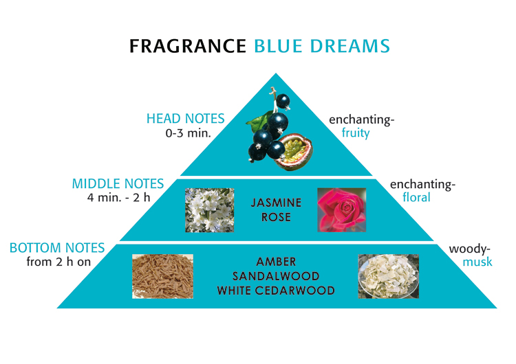 Blue Dreams M. Asam perfume - a fragrance for women