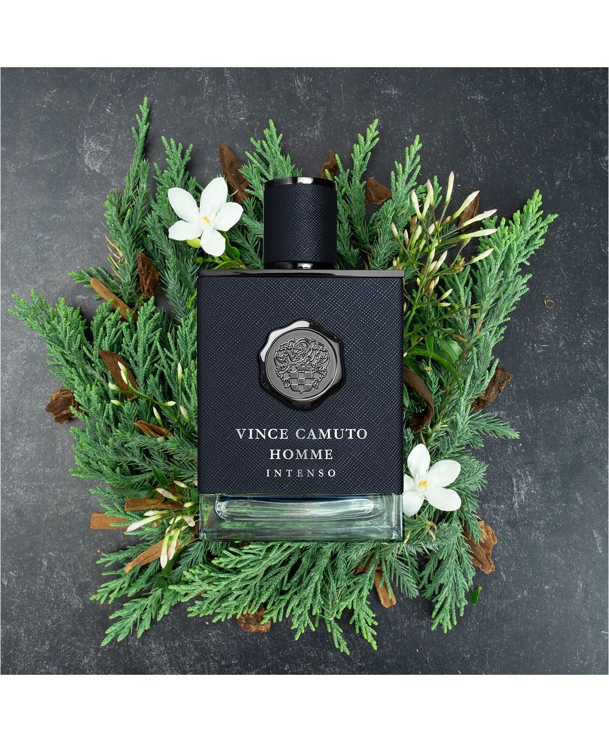 Vince Camuto Homme Intenso Vince Camuto cologne - a fragrance for men 2021