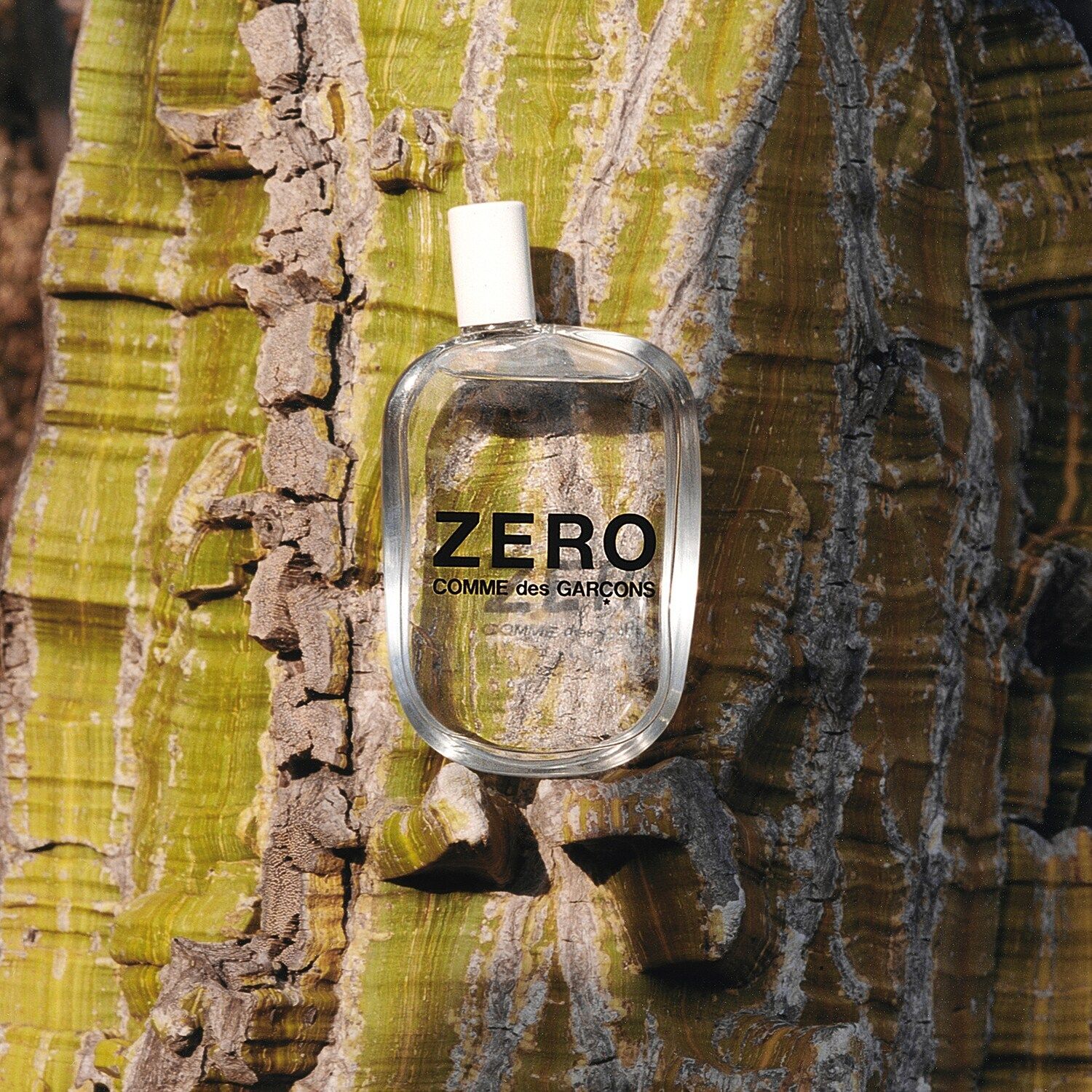 Zero Comme des Garcons perfume - a new fragrance for women and men 2022