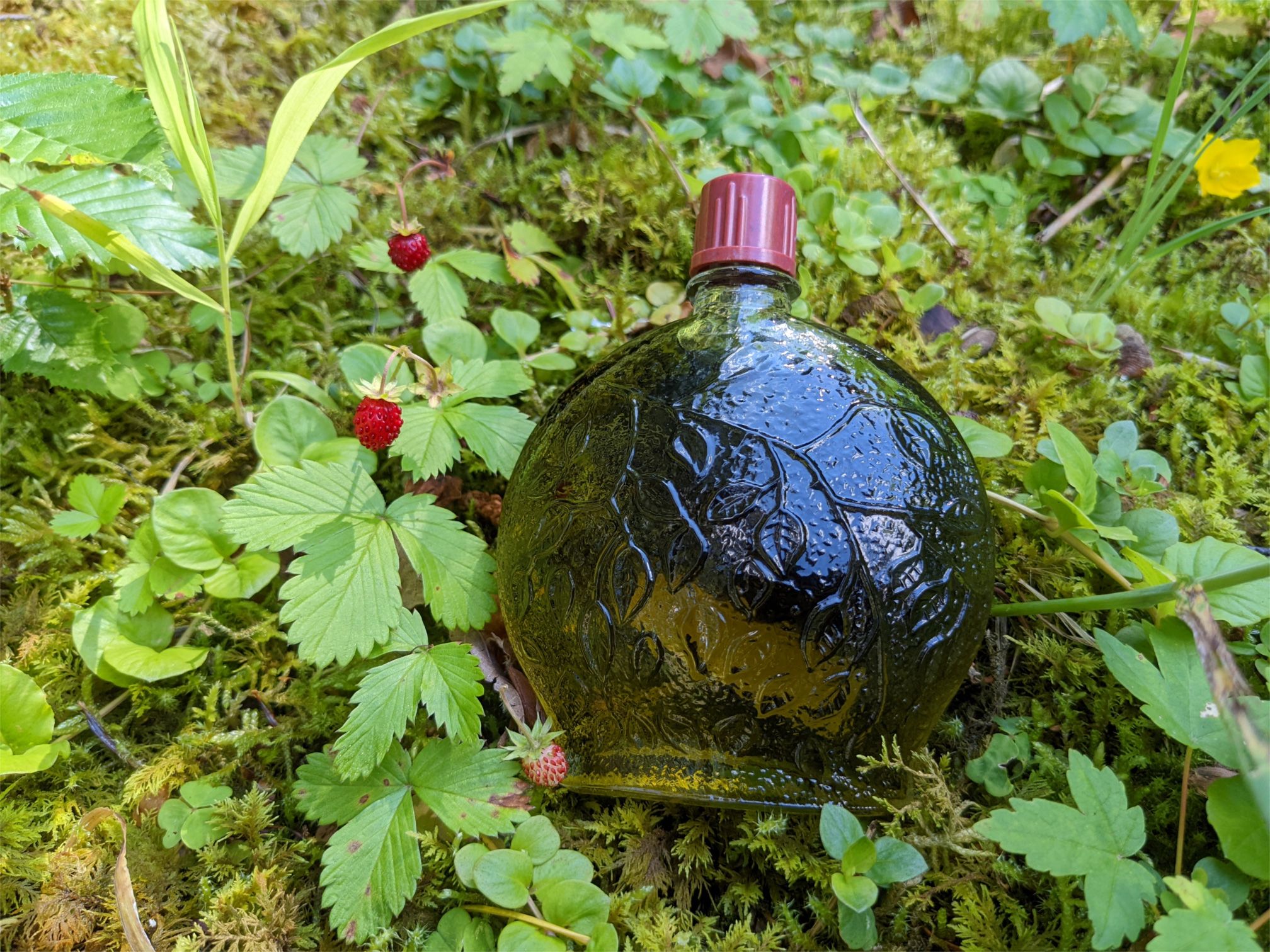 Русский Лес (Russian Forest) Рассвет (Rassvet) perfume - a fragrance ...
