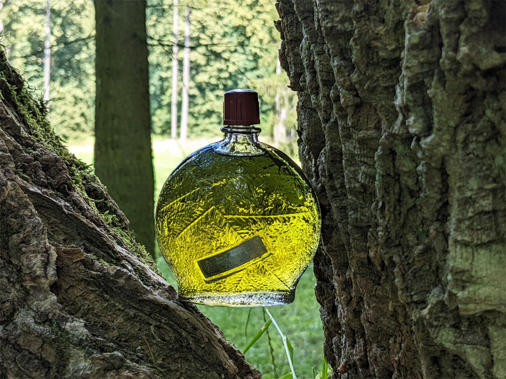 Русский Лес (Russian Forest) Рассвет (Rassvet) perfume - a fragrance ...