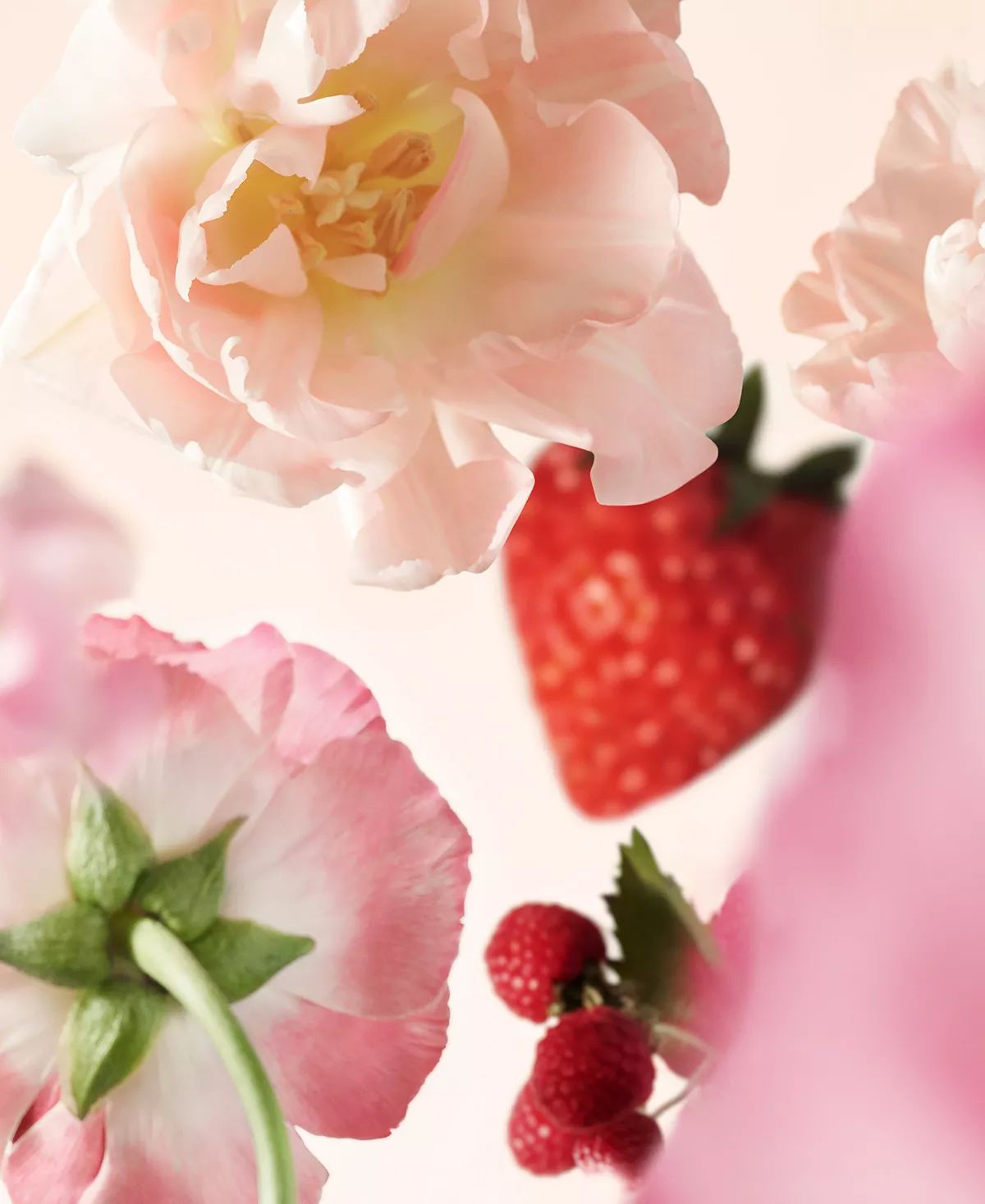 Amazing Grace Eau de Parfum Intense Philosophy perfume - a fragrance ...