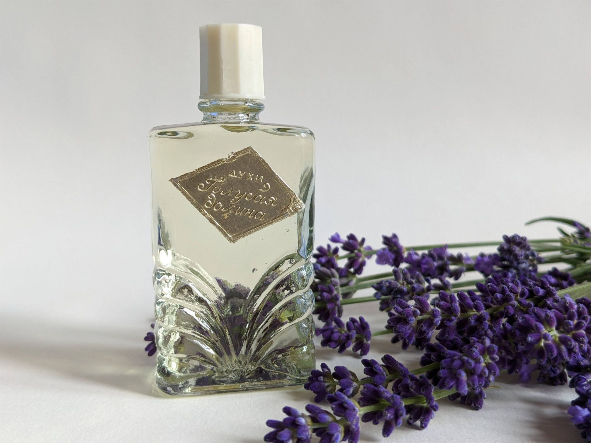 Голубая долина (Blue valley) Crimean rose – Крымская роза perfume - a ...