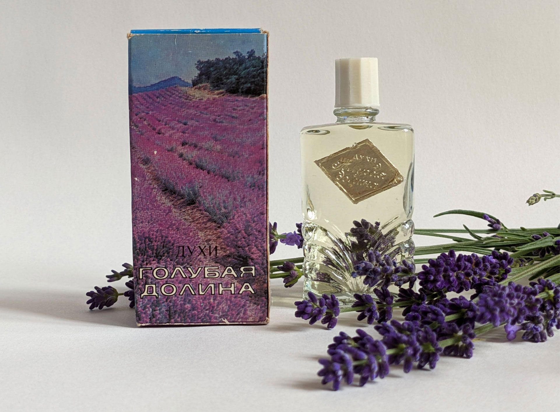Голубая долина (Blue valley) Crimean rose – Крымская роза perfume - a ...