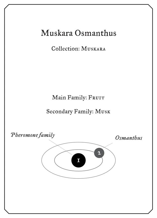 Muskara Osmanthis Fueguia 1833 fragancia - una fragancia para Hombres y ...