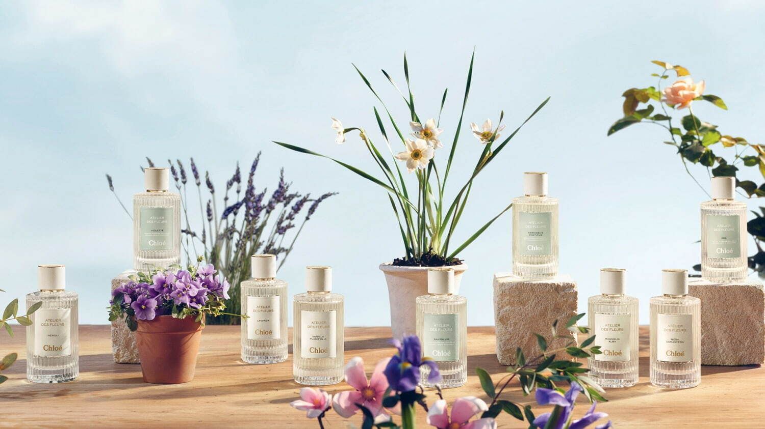 Violette Chloé perfume - a fragrance for women and men 2022