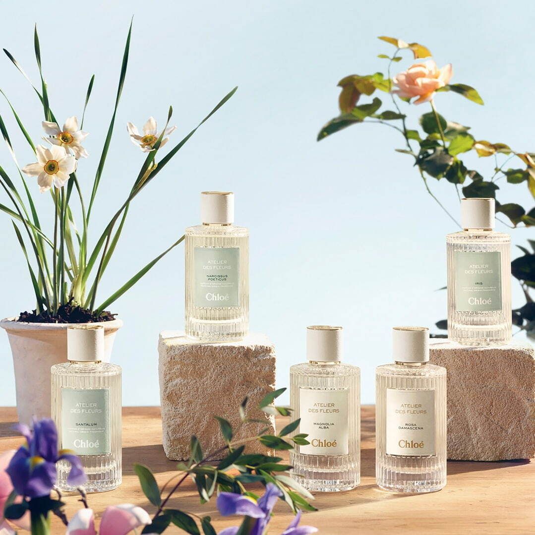 Violette Chloé perfume - a fragrance for women and men 2022