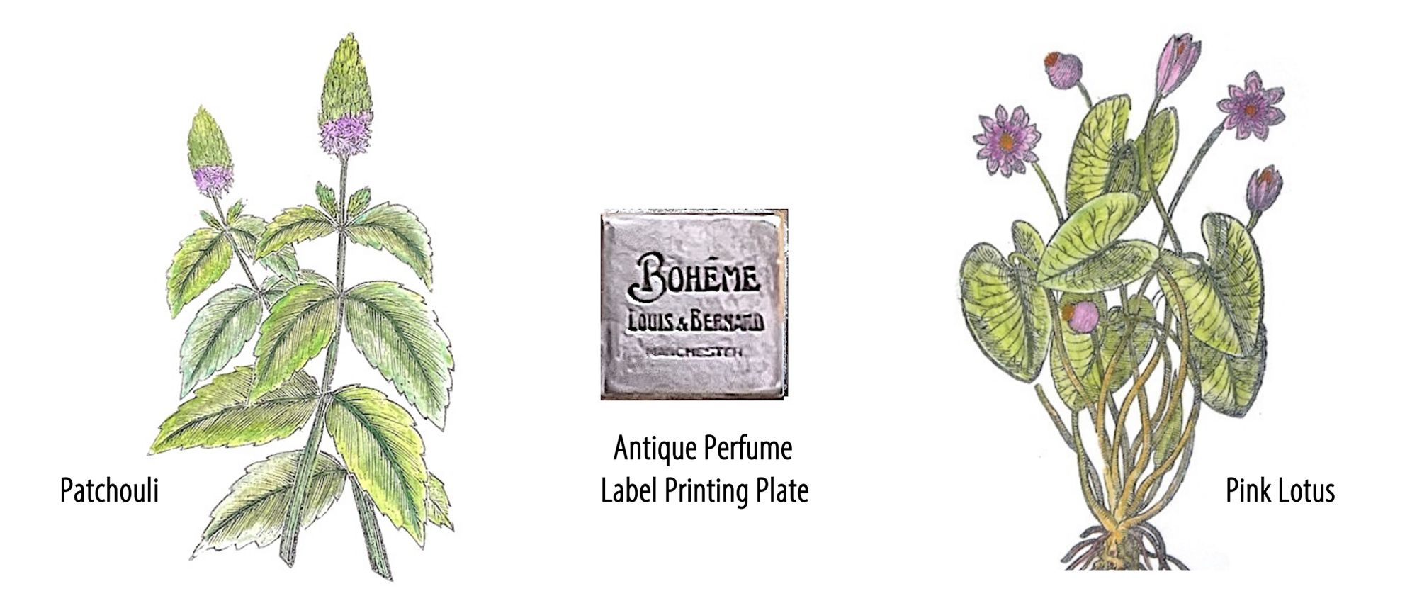 Boheme Confection Aftelier perfume - a new fragrance for women and men 2022