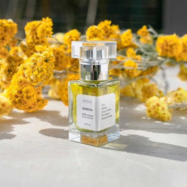 Mimosa BIOCOS perfume - a new fragrance for women and men 2022