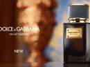 Velvet Incenso Dolce&Gabbana Colonia - una fragancia para Hombres 2018