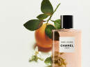 Paris - Riviera Chanel perfume - una nuevo fragancia para Hombres y ...
