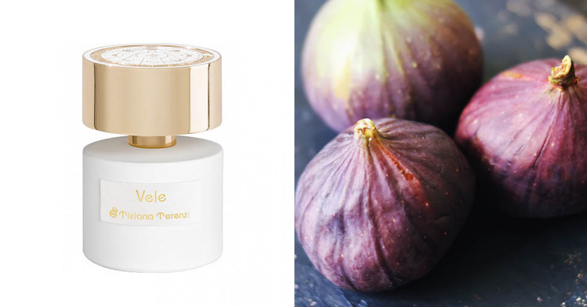 The Velorum Star in the Vele Constellation ~ Fragrance Reviews