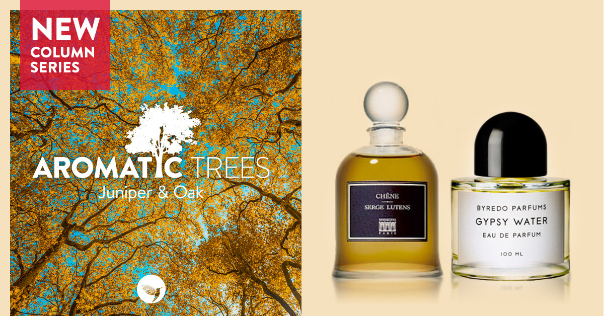 AROMATIC TREES Series: JUNIPER & OAK ~ Columns