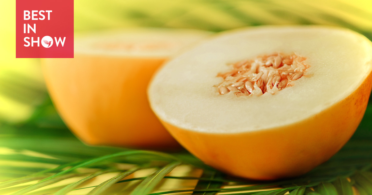 Best in Show: Melon (2018) ~ Best in Show