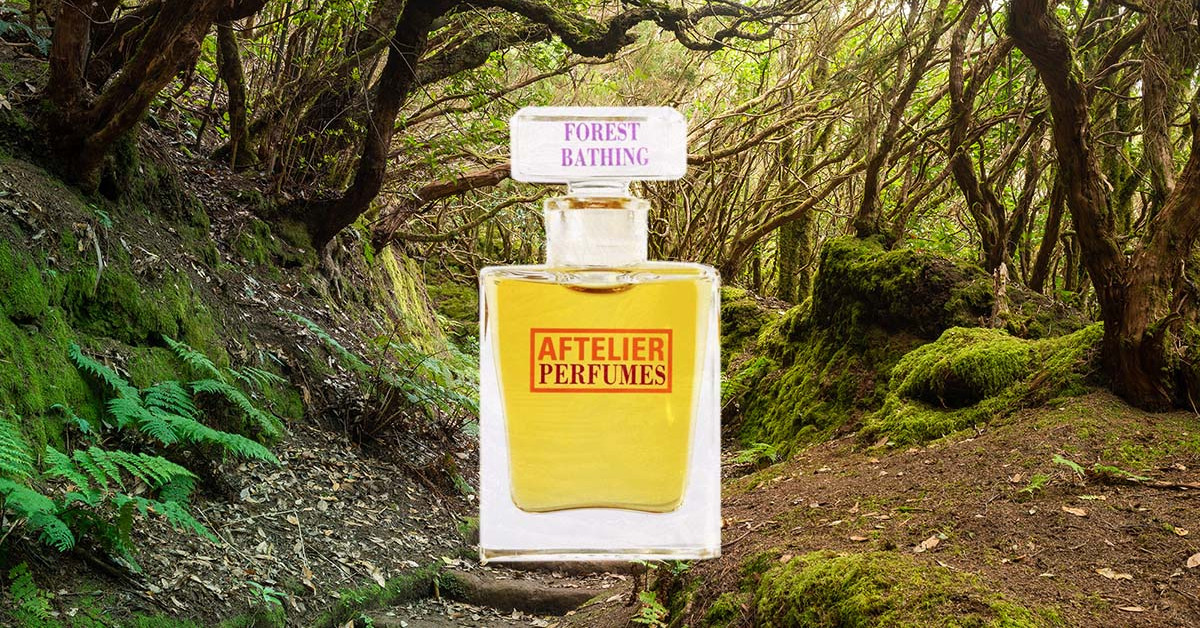 Aftelier Perfumes Forest Bathing: The Space Between Two Trees ...