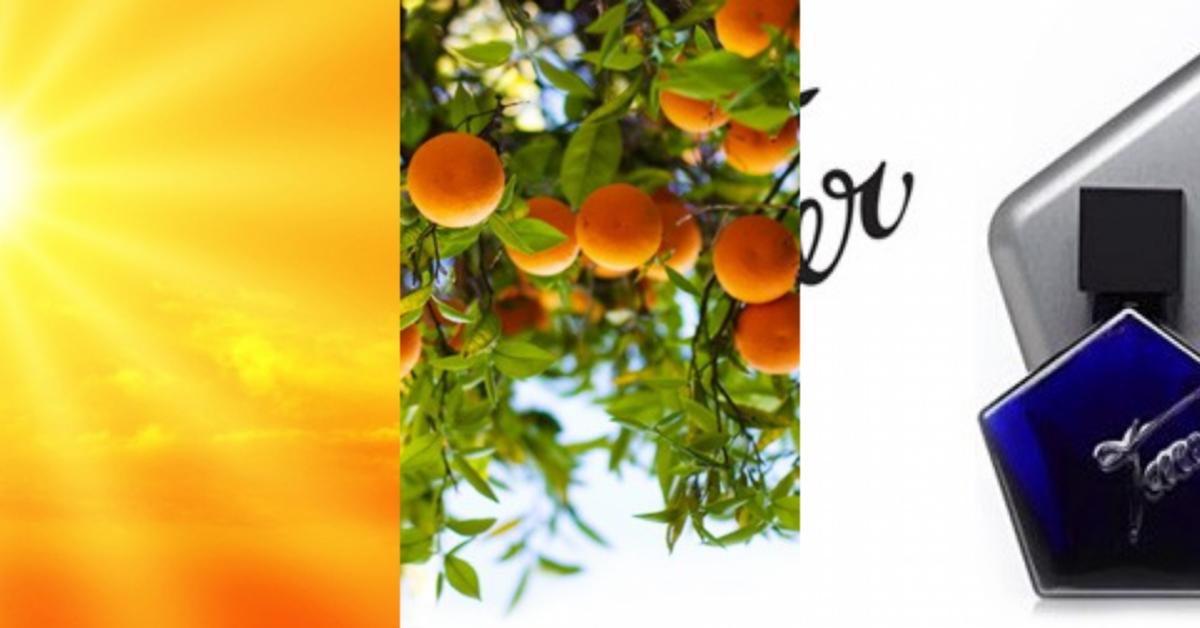 Orange Star by Andy Tauer ~ New Fragrances