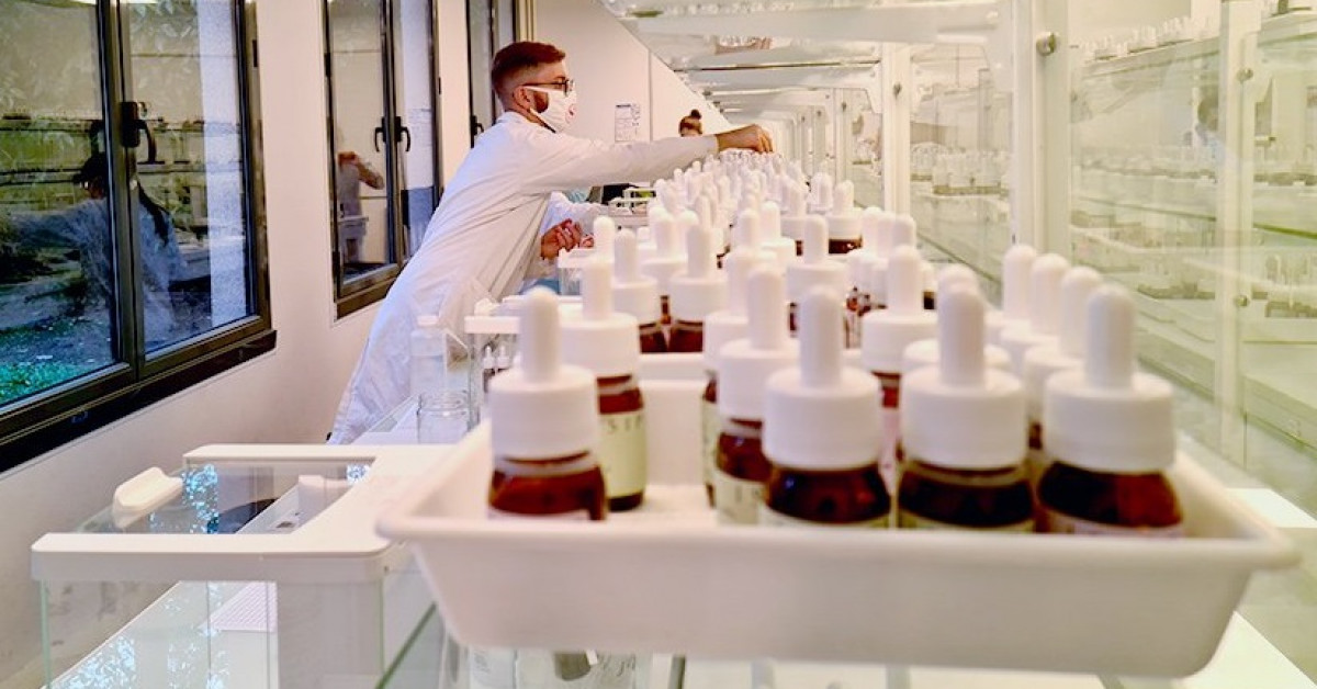 ISIPCA’s Summer School Accepting Applications ~ Fragrance News