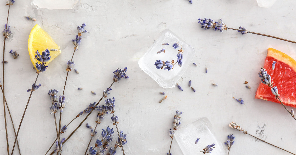 When Fragrances are Like Refrigerators: 6 Cooling Perfumes ~ Columns