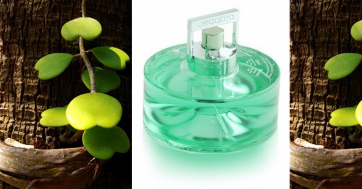 Paradox Green Jacomo ~ Bargain Fragrances