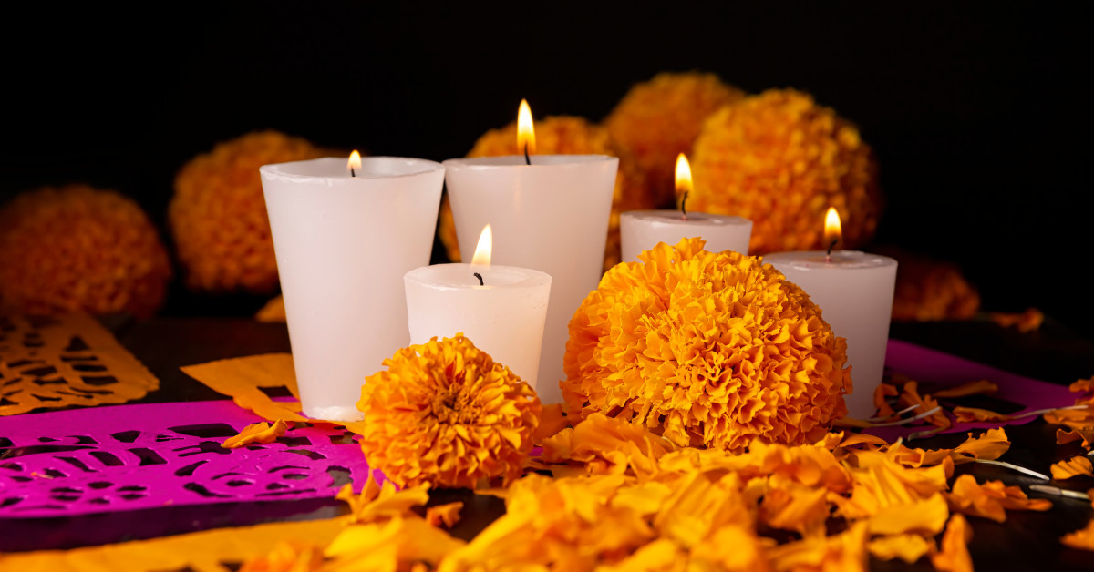 Tagetes Flower: The Hidden Scent of Mexico ~ Columns