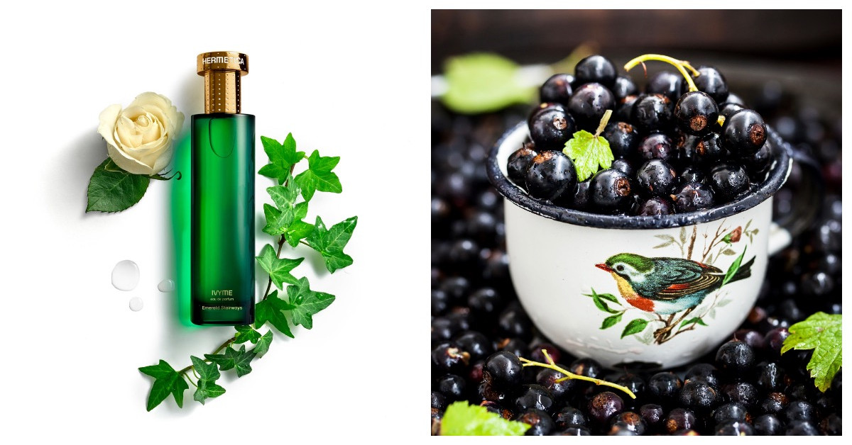Ivyme Hermetica: Eternal Summer ~ Fragrance Reviews