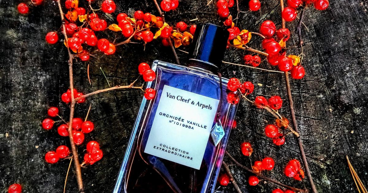 Pastel Perfumery: Orchidée Vanille and Its Stunning Powdered Cacao Note ...
