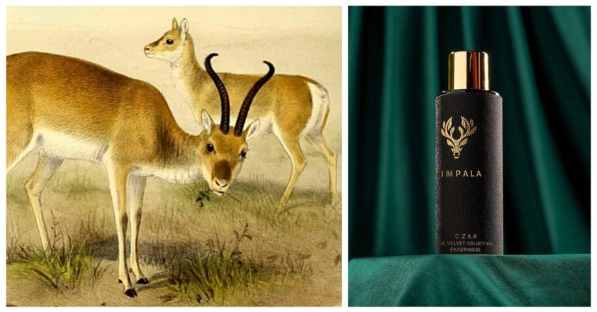 Impala Czar Perfumes: Breathe The Steppe Air ~ Fragrance Reviews