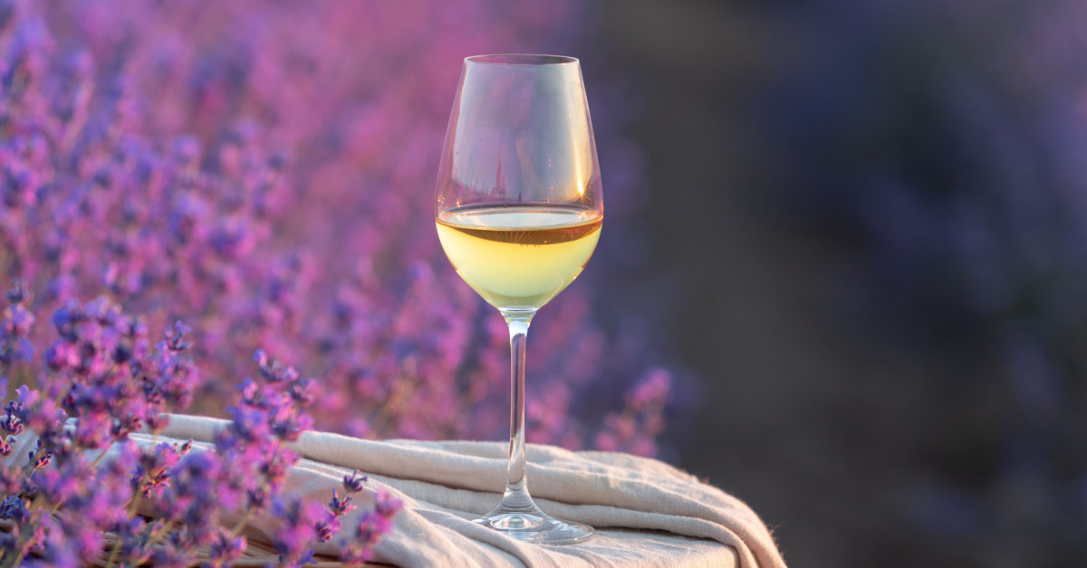 THE SCENT OF WINE ~ Columns