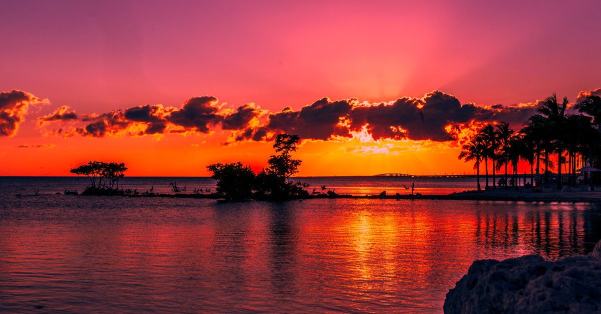 The Joyful Story of the Refreshing Florida Water ~ 1001 Past Tales