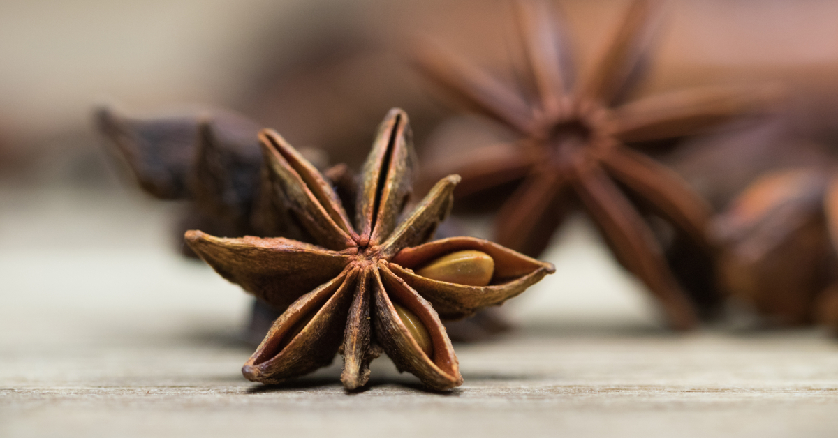 Anise, Star Anise, Licorice ~ Fragrance Reviews