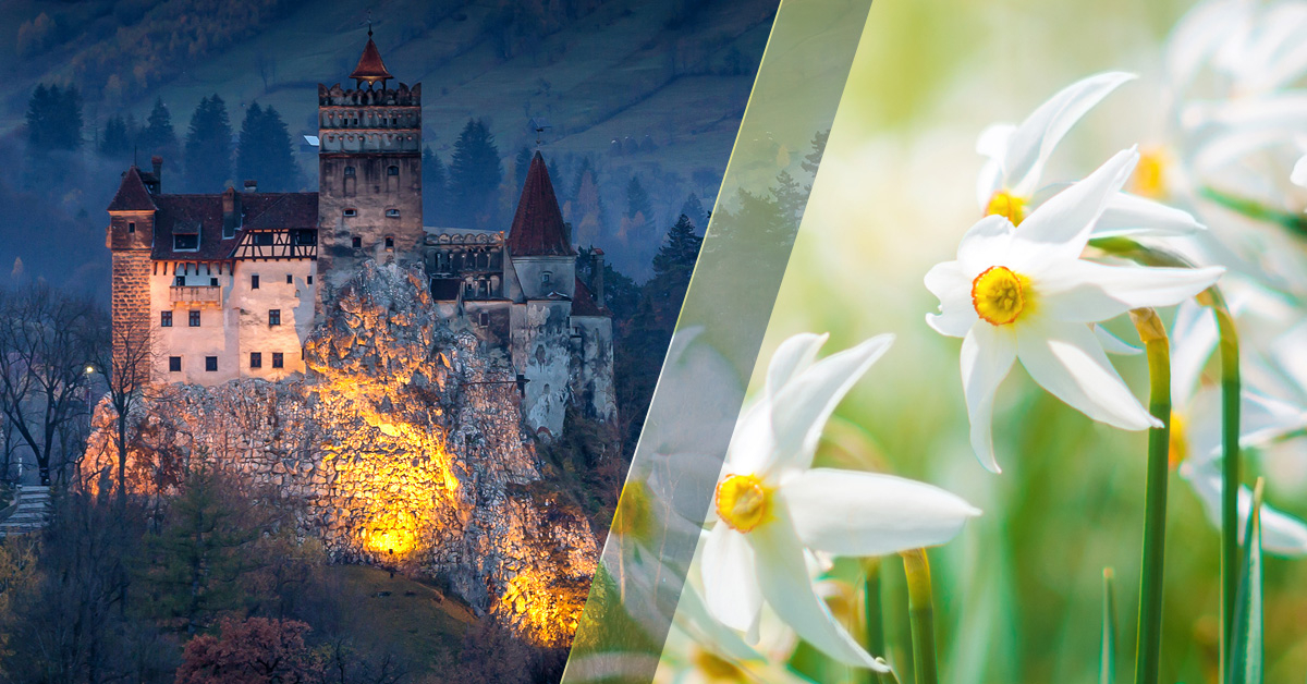 Scents of Romania: Peony, Honeysuckle, Narcissus and Mystery ...