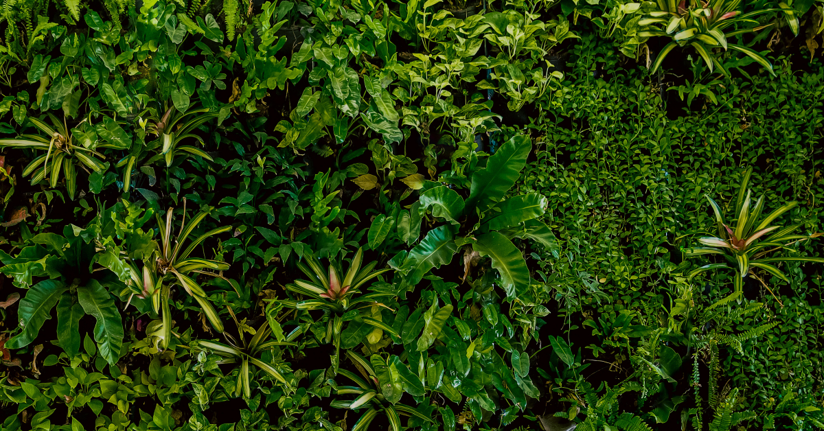 Green, Greener, Greenest: Fragrances to Celebrate Spring and Upcoming ...