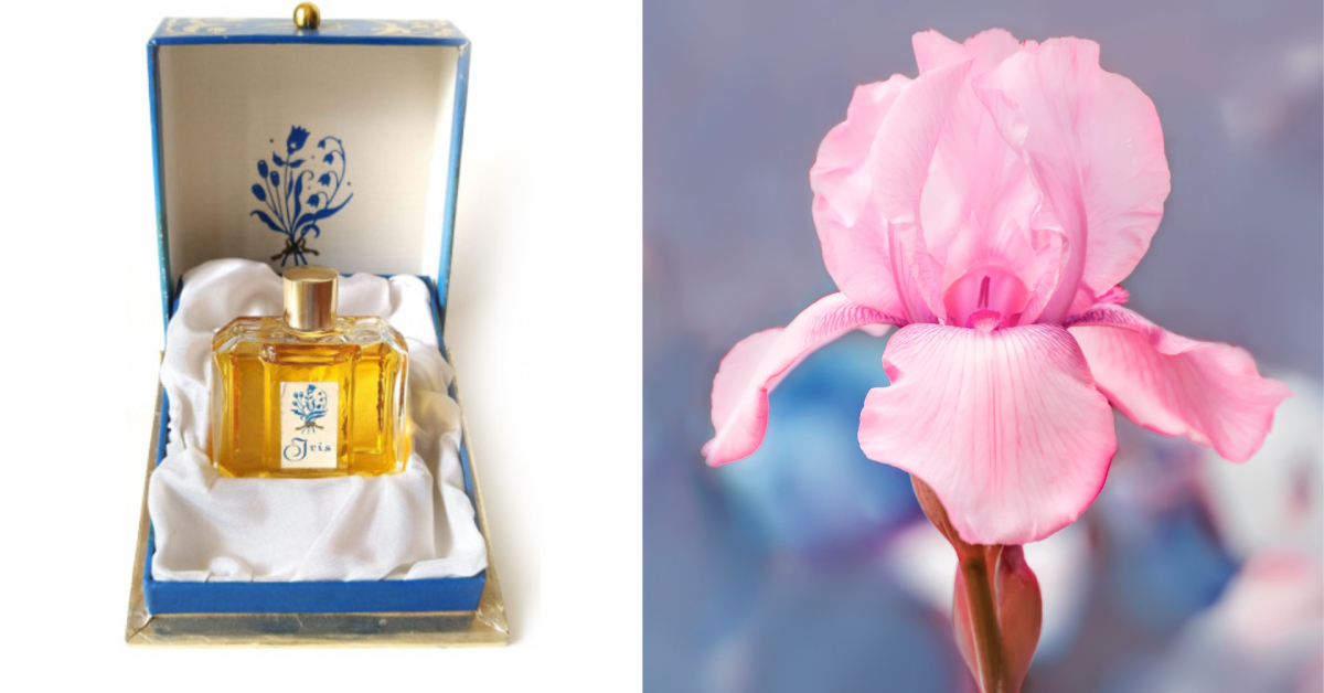 The Story of Astrid's Iris: A Delectable Animalic Iris From the Past ~ 1001 Past Tales