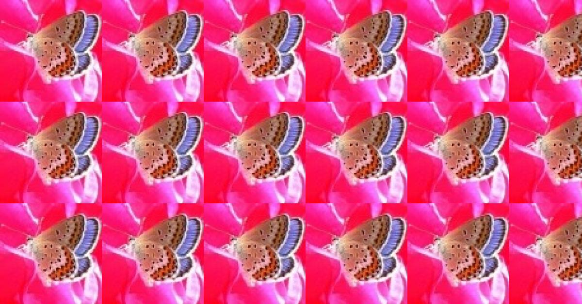 Jesus Del Pozo Halloween Fatal Rose, an Ode to the Spring ~ New Fragrances