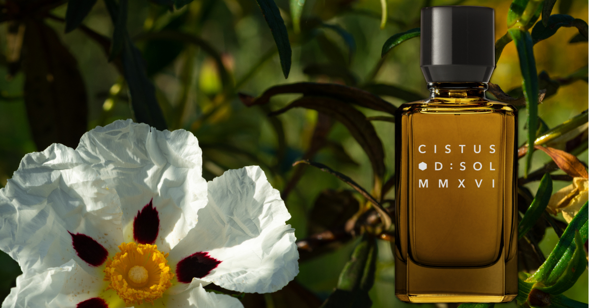 New by D:SOL MMXVI: CISTUS ~ Niche Perfumery