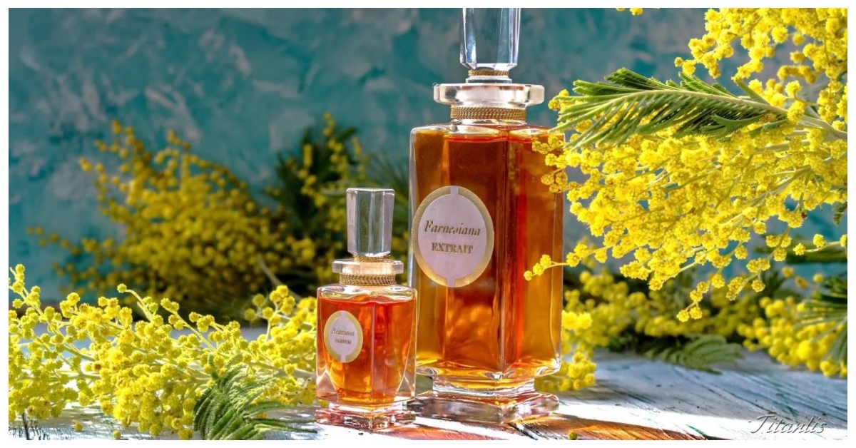 Caron’s Farnesiana: Foggy Windows, Steaming Sponge Cake, Golden Winter ...