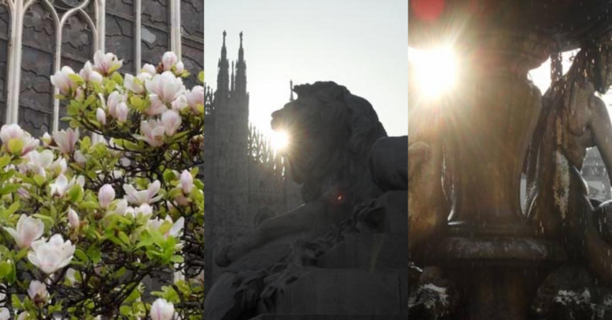 Milan - Love at first Smell! ~ Fragrances and Cultures