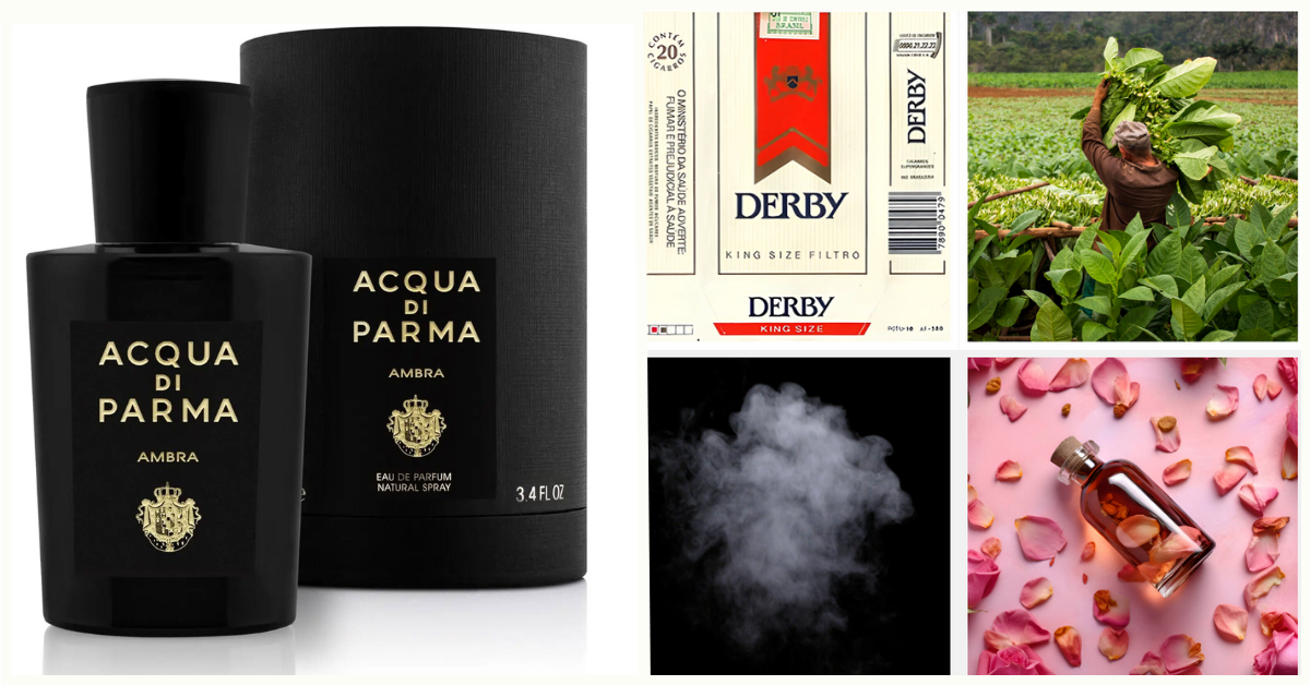 Ambra Eau de Parfum Acqua di Parma: A Brief Review ~ Niche Perfumery