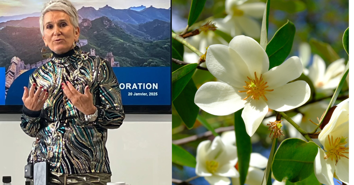 A Dive into the Heart of China With IFF ~ Fragrance News