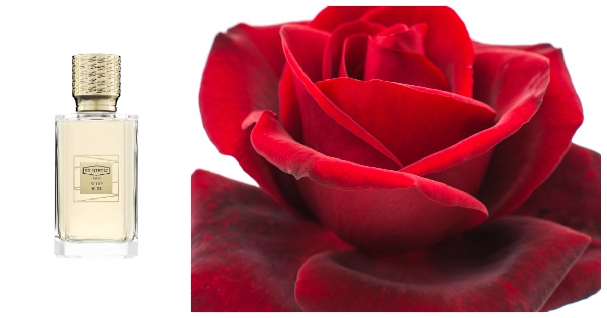 Ex Nihilo’s Spiky Muse: Fantasy, Reality, & A Rose That Should Go By ...