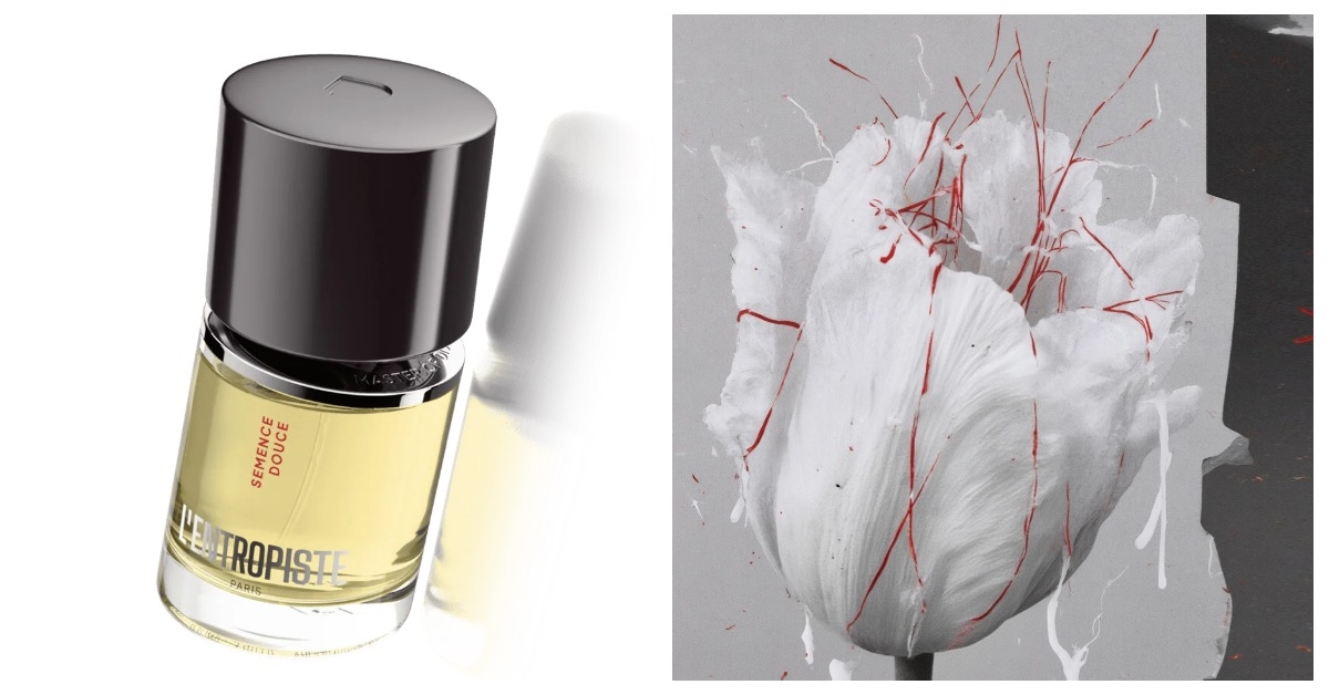 Entropy Wins: Perfumery and the Heating of Space & GIVEAWAY ...