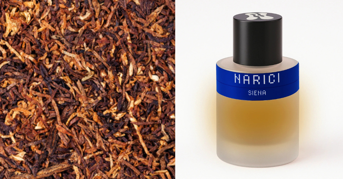 NARICI Presents Two New Fragrances With Iconic Italian Raw Materials ...