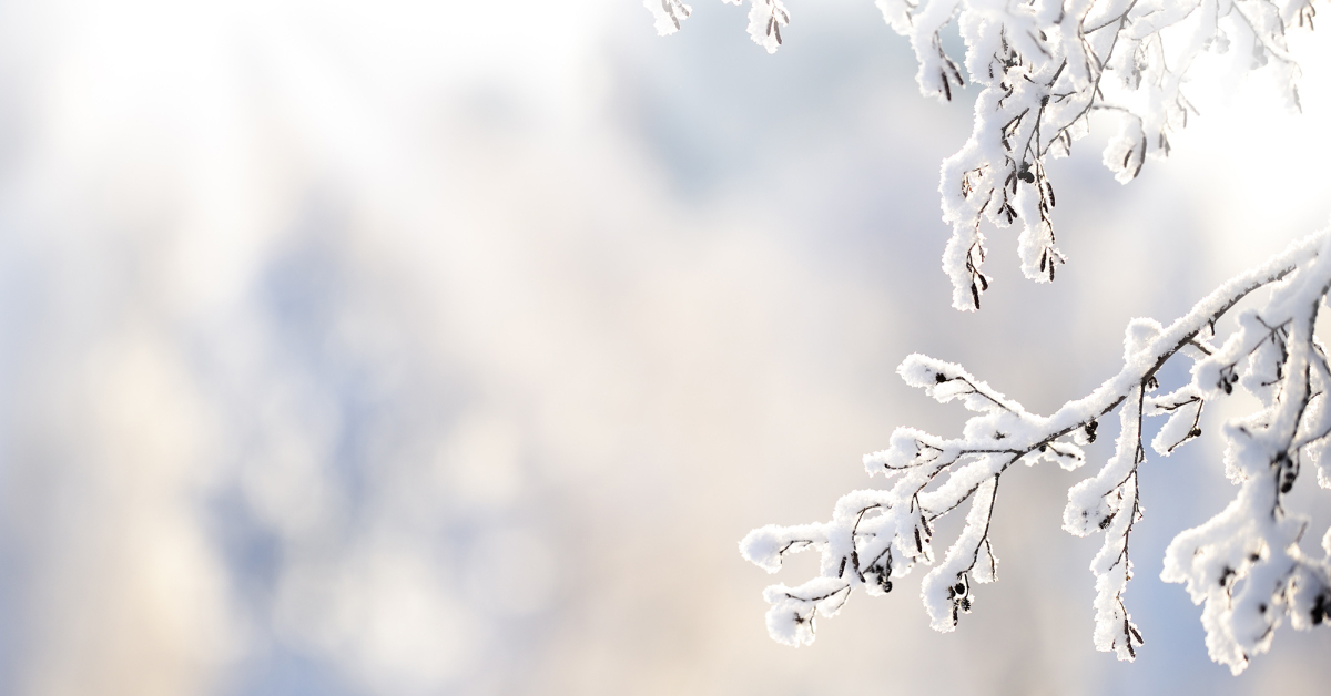 The Smell of Snow in Perfume ~ Columns