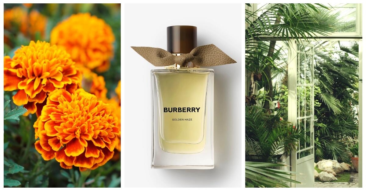 Burberry Golden Haze: The Most Ambitious Scent To Come Out Of Burberry ...