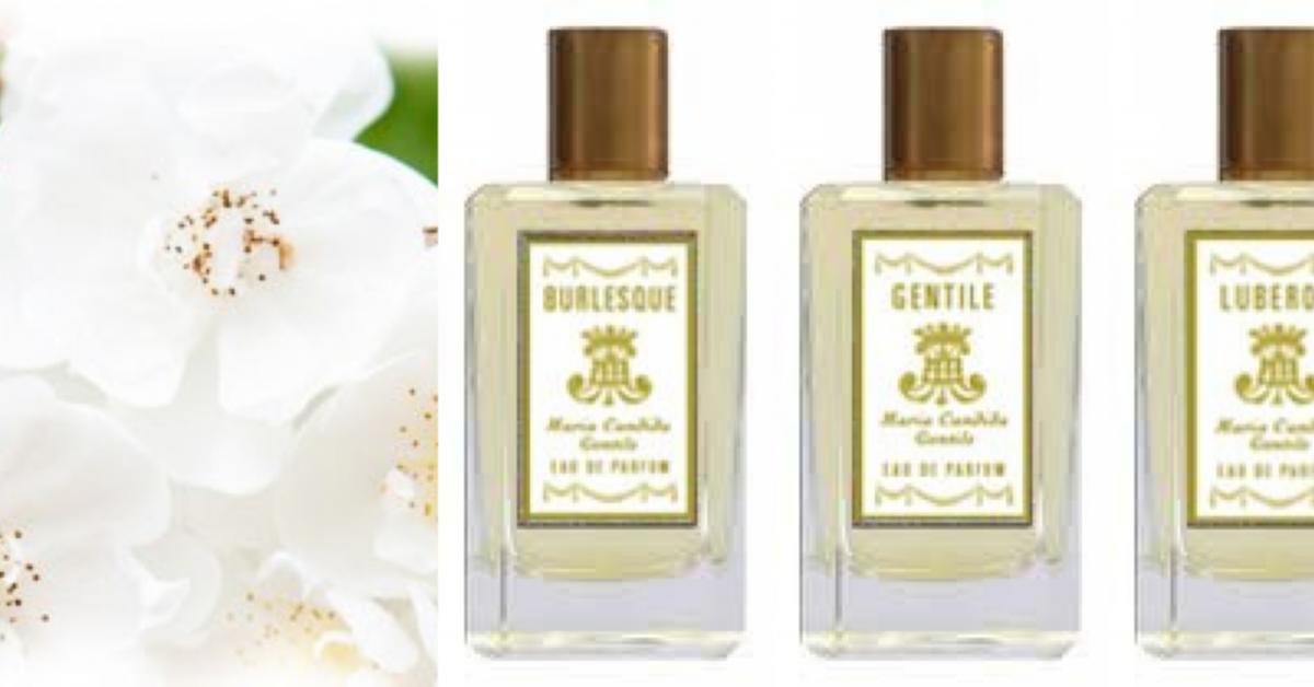 Maria Candida Gentile Fragrance House ~ Niche Perfumery