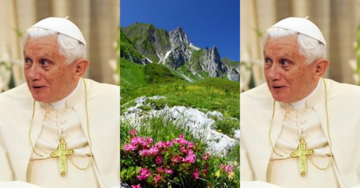A Perfumed Pope? ~ New Fragrances