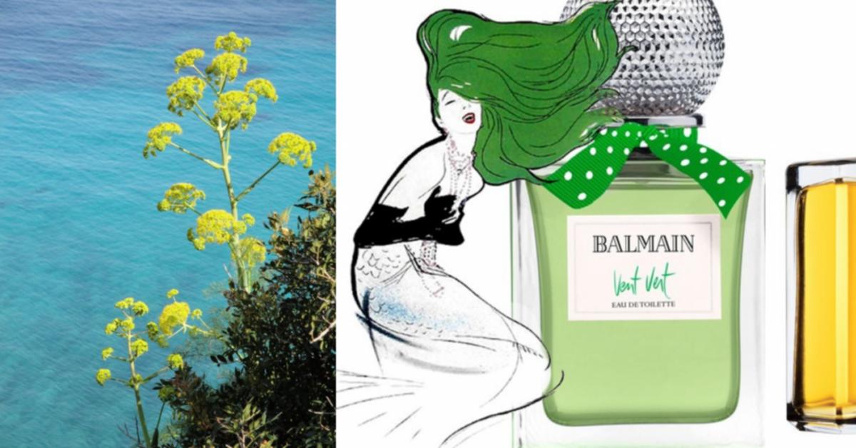 Galbanum: Green, Acrid Bitterness ~ Raw Materials