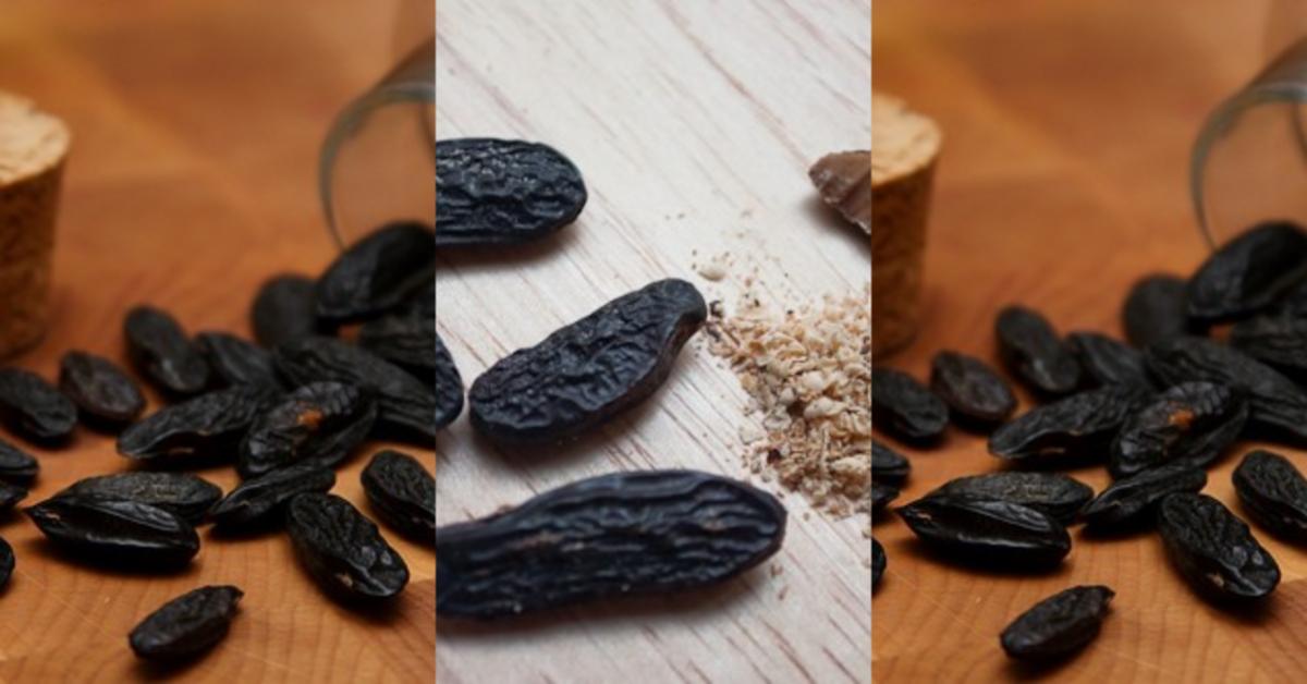 Tonka Beans – Sweet, Intoxicating Aromas of South America ~ Raw Materials
