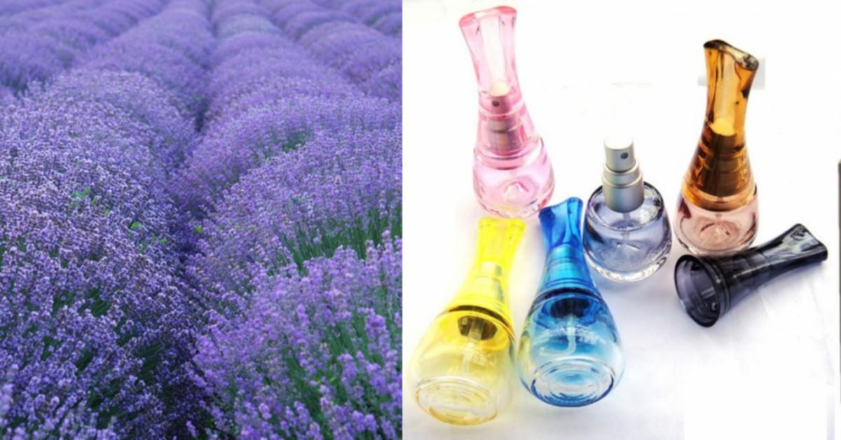 Sight Unseen: The Power of Scent in the Dark ~ Fragrances and Cultures